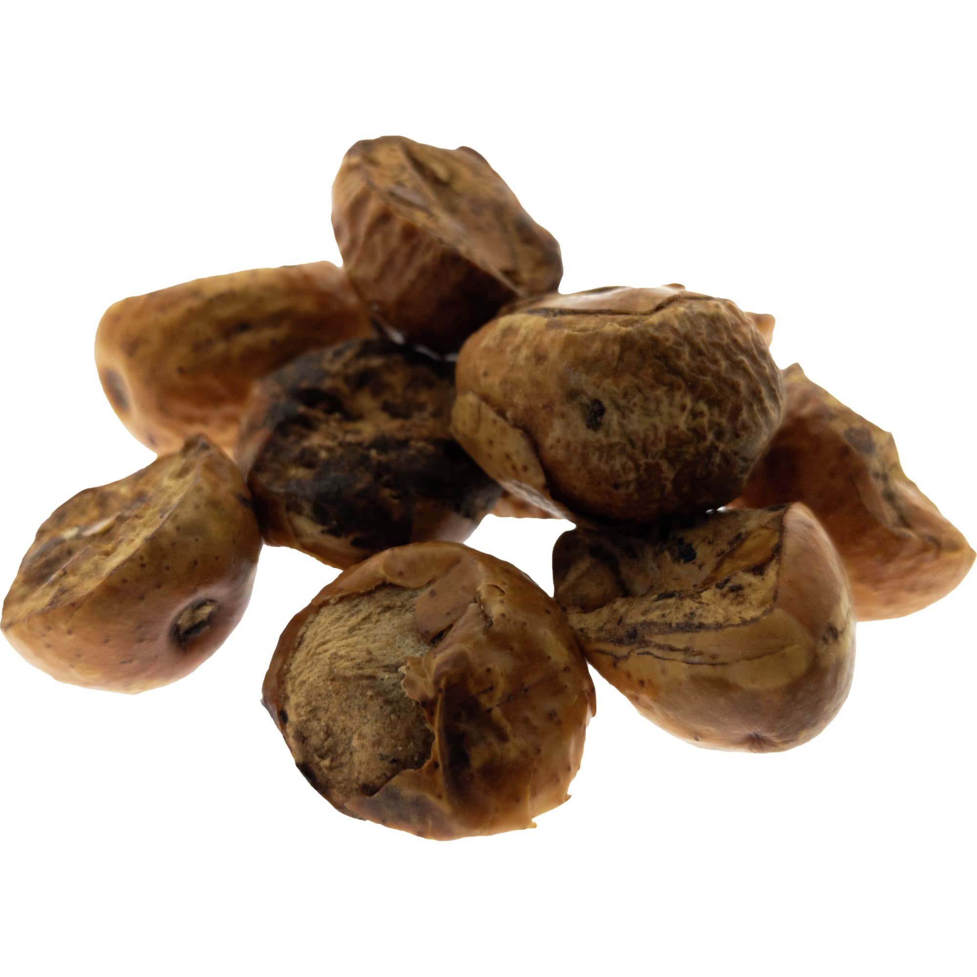 [Chuan Lian Zi] Toosendan fructus