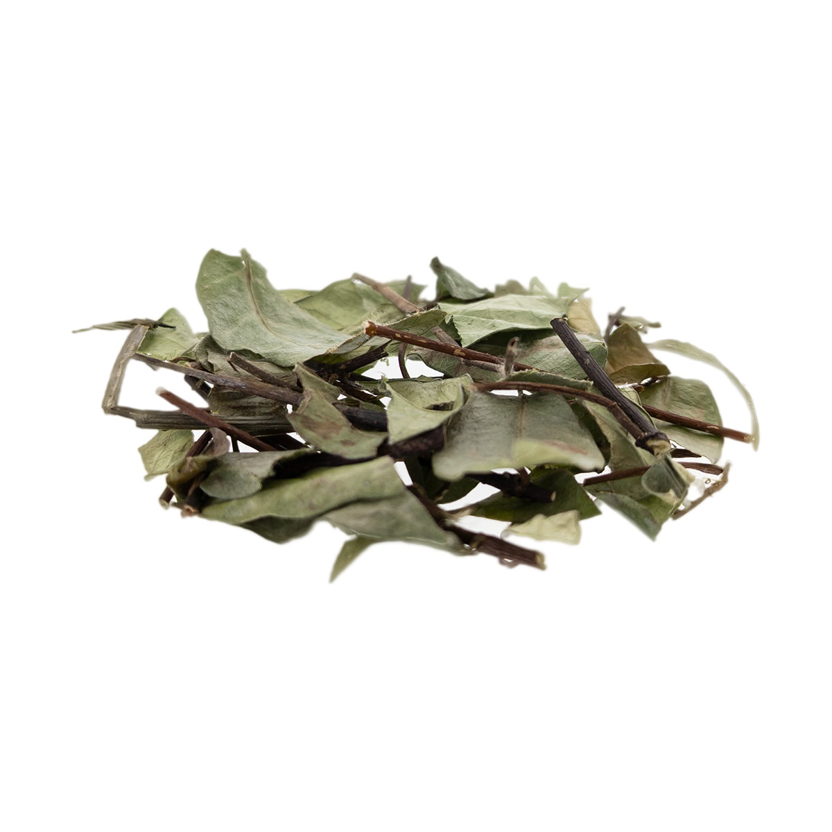 [Luo Shi Teng] Trachelospermi caulis et folium