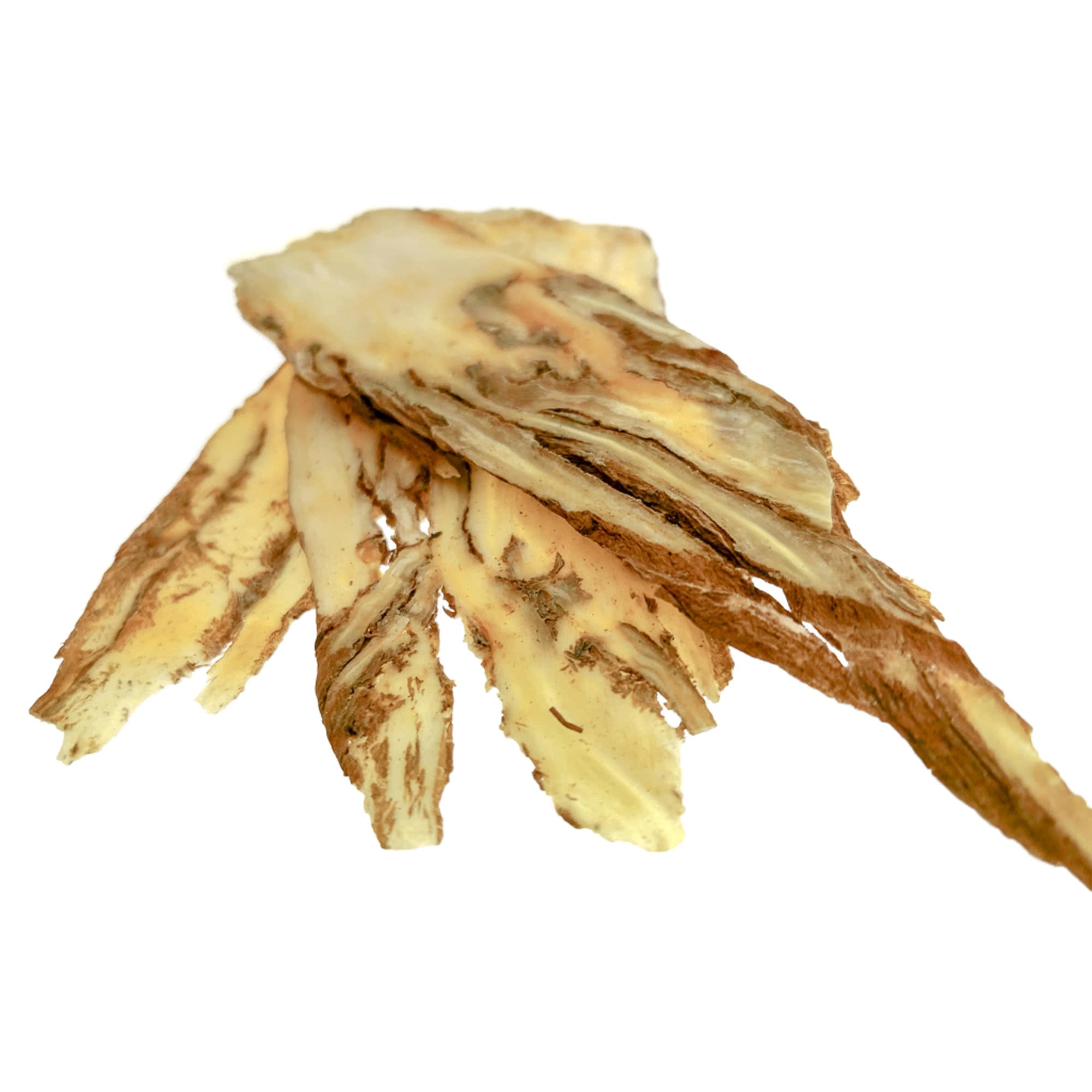 [Dang Gui] Angelicae sinensis radix