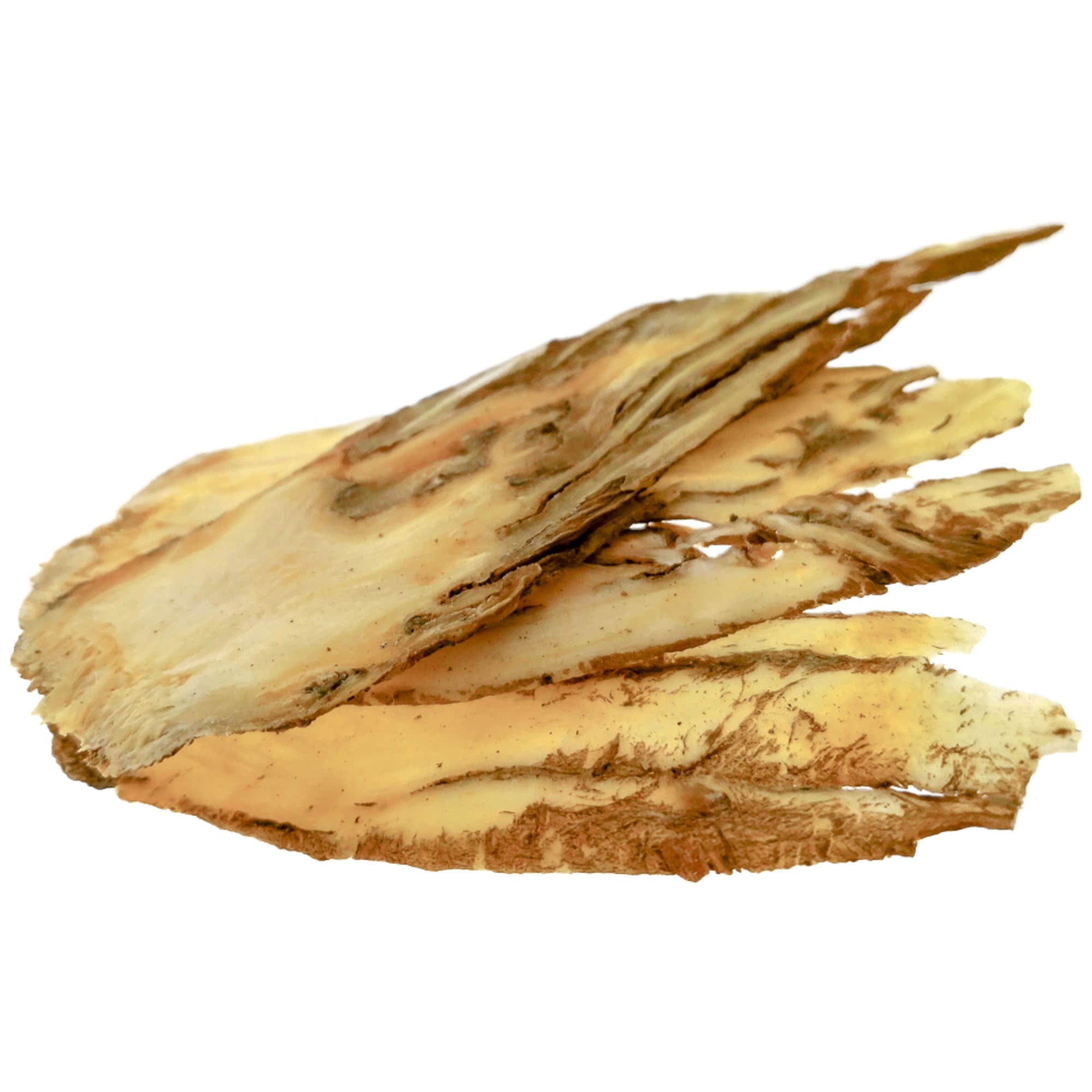 [Dang Gui] Angelicae sinensis radix